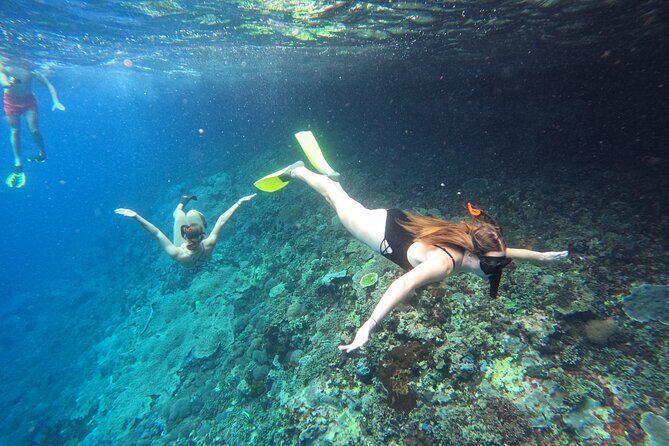 Snorkeling Day Trip to Nusa Lembongan and Nusa Penida - Key Points