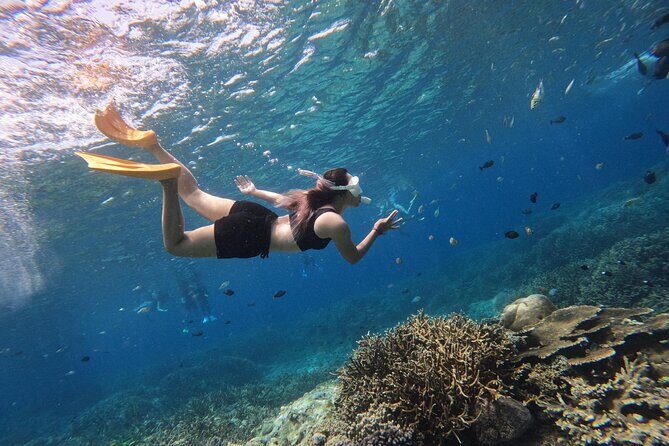 Snorkeling Day Trip to Nusa Lembongan and Nusa Penida - The Genuine Value of the Tour