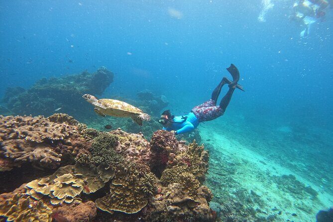 Snorkeling Day Trip to Nusa Lembongan and Nusa Penida - Frequently Asked Questions