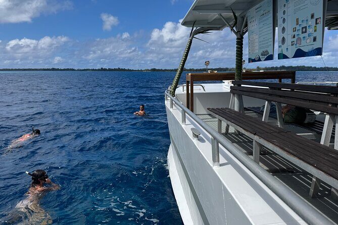 Snorkeling Discovery DE the Black Pearl and Lunch in Bora Bora - The Sum Up