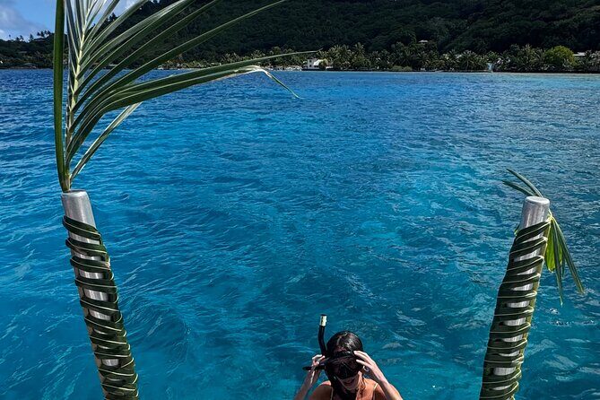 Snorkeling Discovery DE the Black Pearl and Lunch in Bora Bora - FAQs