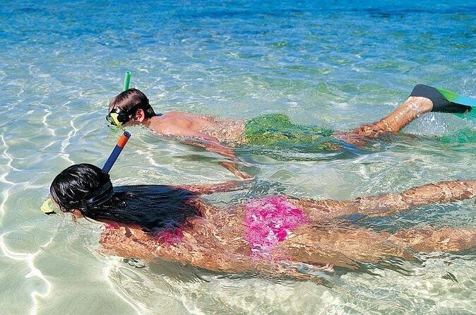 Snorkeling Discovery sailing in Los Cabos - Price and Value: Is It Worth It?