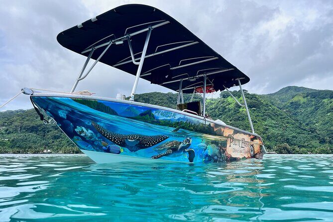Snorkeling EN Small Group Tour in Tahiti - What to Expect and Why It Matters