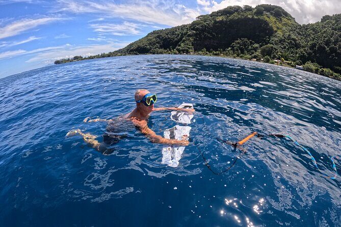 Snorkeling EN Subwing in Tahiti - Key Points