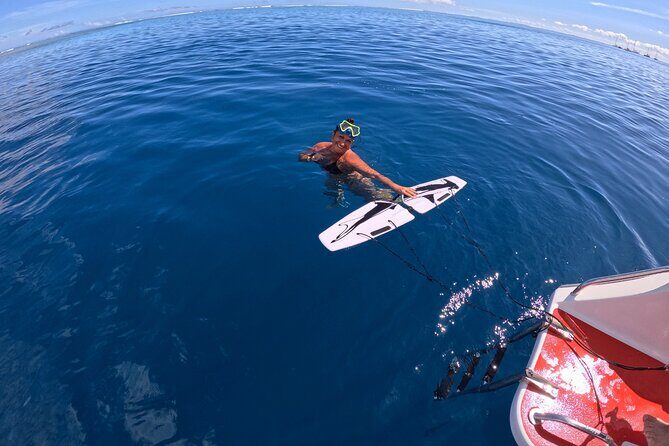 Snorkeling EN Subwing in Tahiti - Why You Might Choose This Tour