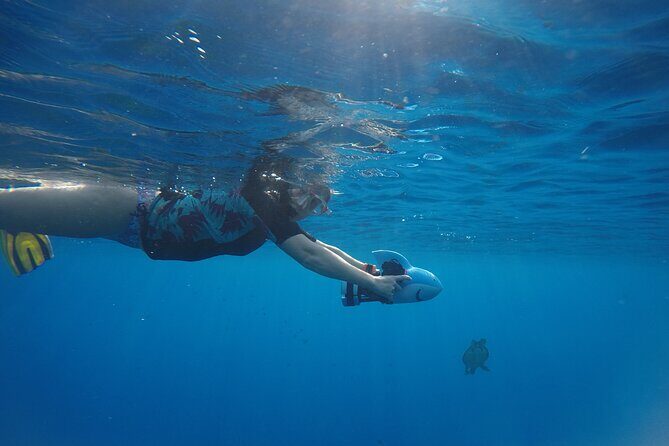 Snorkeling EN Underwater Scooter in Tahiti - FAQ
