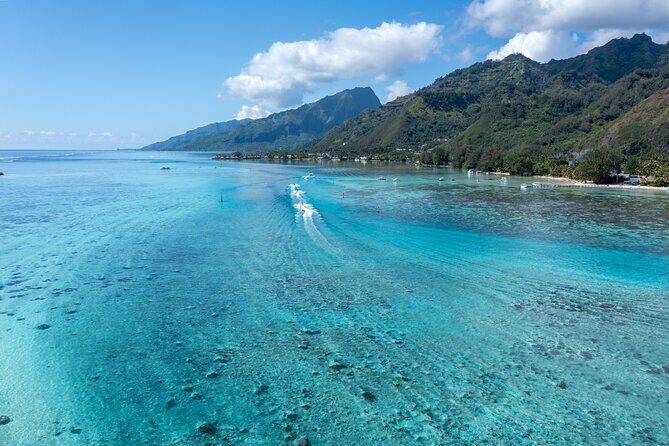 Snorkeling excursion and encounter with marine fauna in Moorea - The Itinerary: What to Expect During Your Day