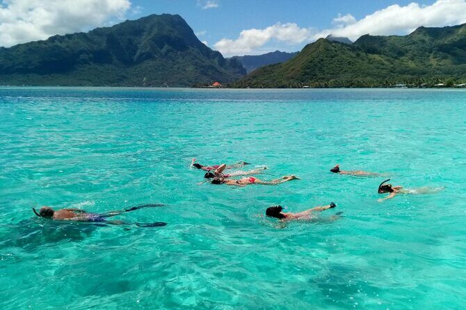 Snorkeling excursion and encounter with marine fauna in Moorea - Practical Tips for Your Tour Day