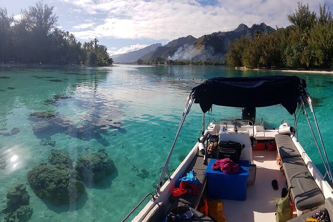 Snorkeling excursion, discovery of the lagoon, small group. - Snorkeling Excursion in Moorea: Discovery of the Lagoon with a Small Group