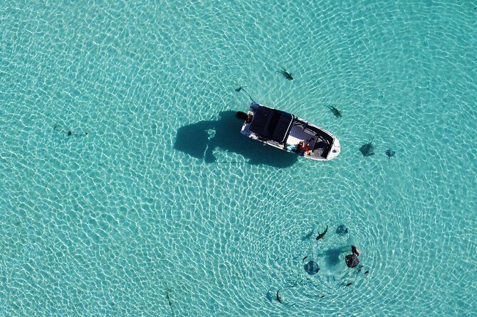 Snorkeling excursion, discovery of the lagoon, small group. - The Guide: Knowledge, Safety, and Friendliness