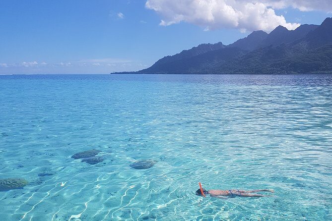 Snorkeling excursion, discovery of the lagoon, small group. - The Value: Experience and Cost