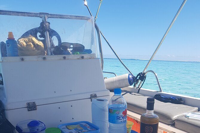 Snorkeling excursion, discovery of the lagoon, small group. - Practical Details and Tips
