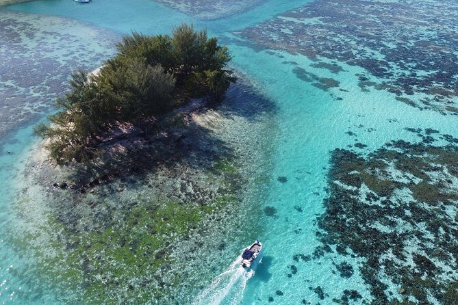 Snorkeling excursion, discovery of the lagoon, small group. - Who Will Love This Tour?