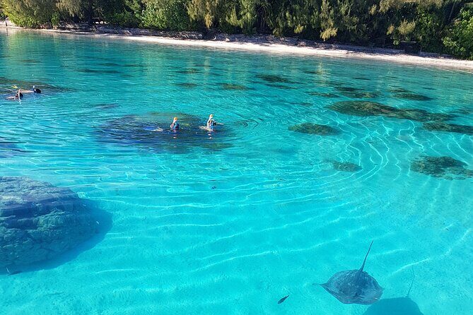 Snorkeling excursion, discovery of the lagoon, small group. - The Sum Up