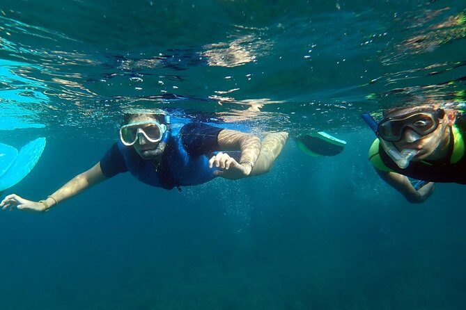 Snorkeling excursion in Isla de Tabarca - Key Points