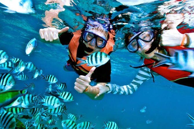 Snorkeling Experience At Blue Lagoon Bali With Lunch And Transfers - Key Points