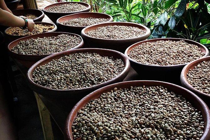 Snorkeling Experience At Blue Lagoon Bali With Lunch And Transfers - What Makes This Tour Stand Out?