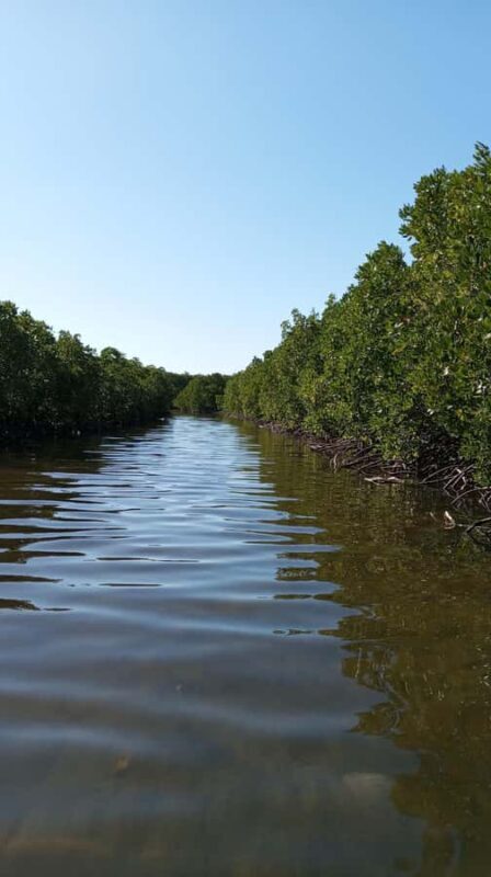 Snorkeling Experience at hidden Gili in Lombok - Day Trip - An In-Depth Look at the Hidden Gili Snorkeling Tour
