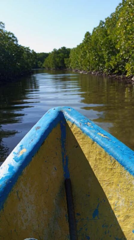 Snorkeling Experience at hidden Gili in Lombok - Day Trip - The Sum Up