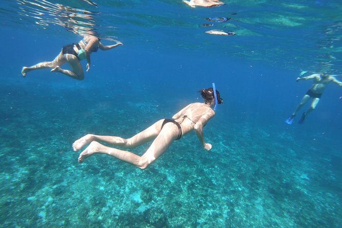 Snorkeling Experience Cozumel only from Playa del Carmen - Who is This Tour Perfect For?