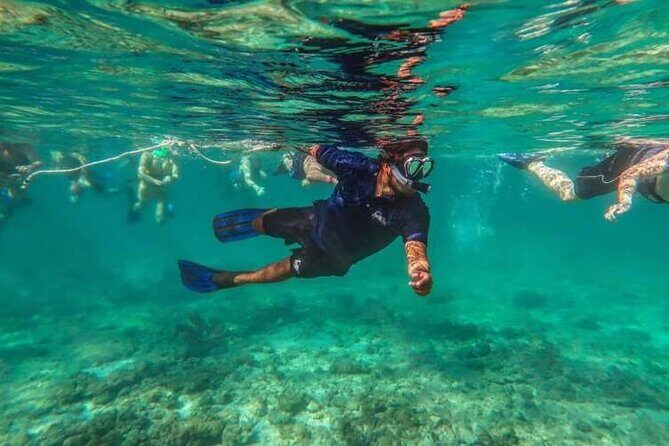 Snorkeling Experience in Cancun - Hands Underwater Museum - What Sets This Tour Apart?