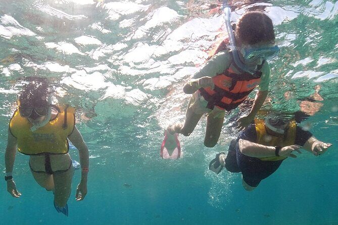 Snorkeling Experience in Underwater Museum with Transportation from Cancún - The Sum Up