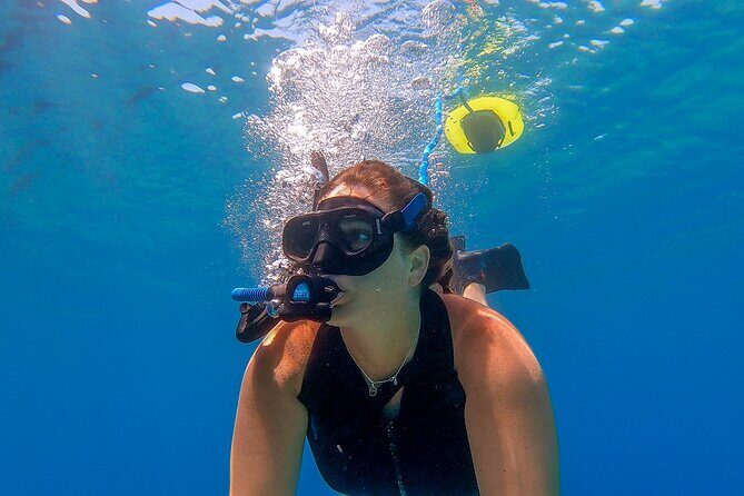 Snorkeling Experience on a NEMO Diving System - An In-Depth Look at the Nemo Guided Tour