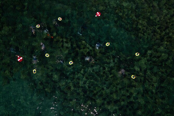 Snorkeling Experience on a NEMO Diving System - FAQs