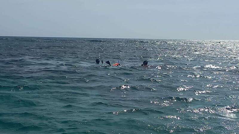 Snorkeling Express Puerto Morelos - Summary: Is Snorkeling Express Puerto Morelos Worth It?
