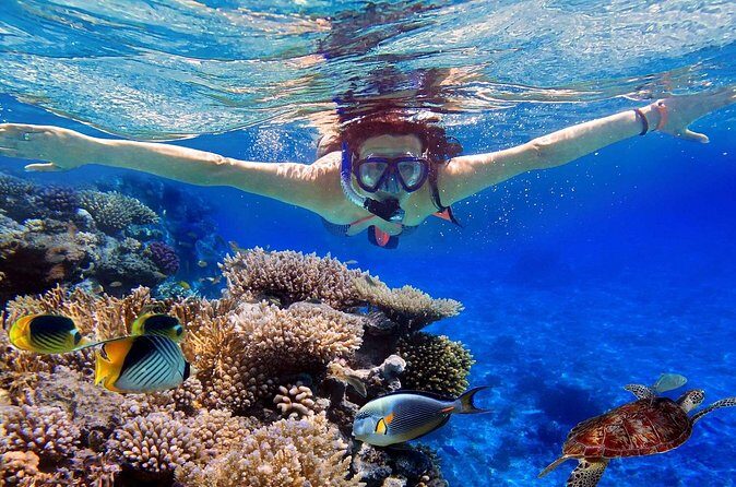 Snorkeling, Flying Fish & Banana Rafting Experience In Tanjung Benoa - The Sum Up