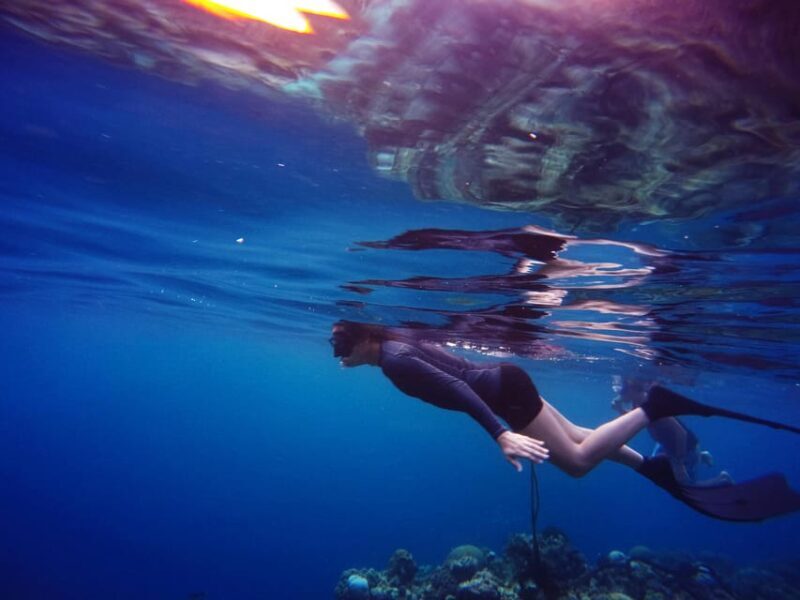 Snorkeling for beginners in crystal clear sea of Halkidiki - What’s Included and What’s Not