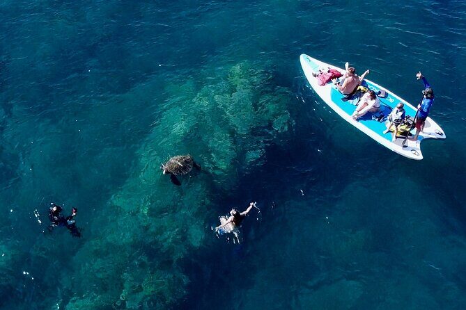 Snorkeling for Non-Swimmers Guided Tour - Wailea Beach - Final Word: Is This Tour for You?