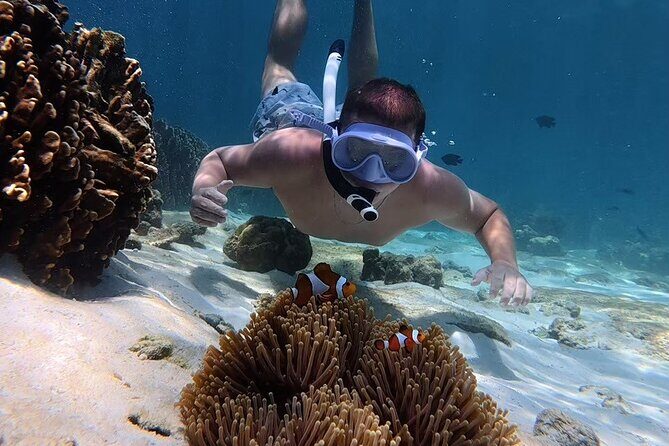 Snorkeling + Free Underwater Photos by Longtail Boat  Koh Lipe A - Authentic Experiences and Real Traveler Feedback