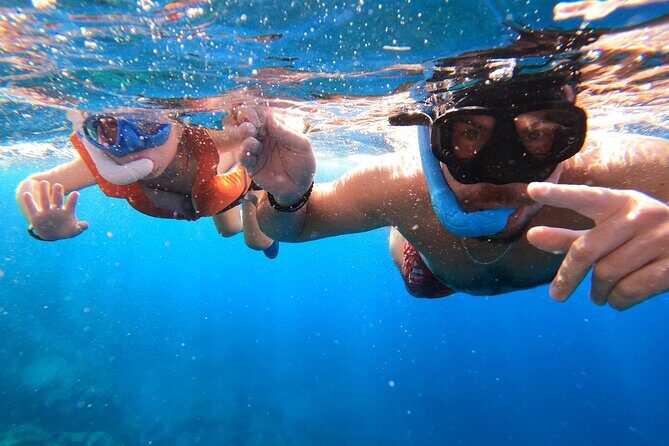 Snorkeling from Boat in Puerto Colón - Key Points