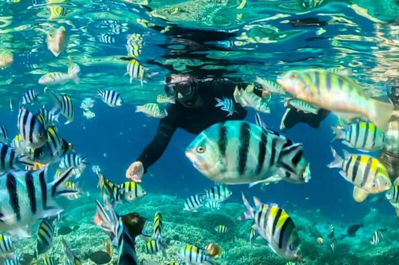 Snorkeling from Gili Trawangan: Private Group 4-Hour Trip - Discover the Gili Islands Snorkeling Experience: A Practical Review