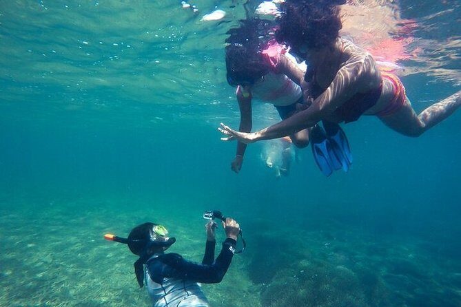Snorkeling from Negombo - An Authentic, Practical Introduction to Snorkeling in Negombo