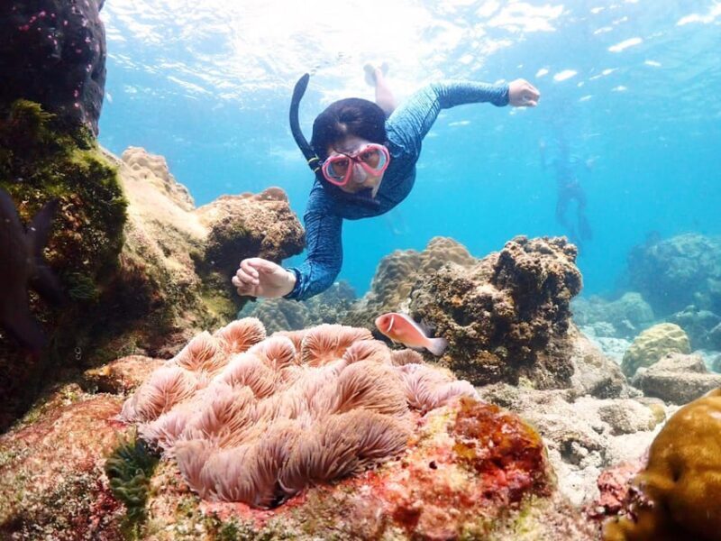 Snorkeling Full Day Experience from Bangkok - Value and Cost Considerations