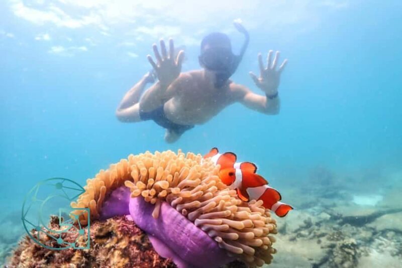 Snorkeling Full Day Experience from Bangkok - Frequently Asked Questions