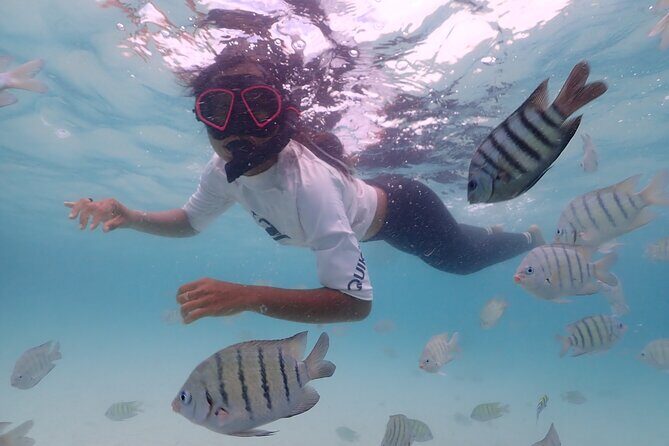 Snorkeling Full Day Experience from Bangkok - Practical Details and Why They Matter