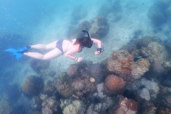 Snorkeling Full Day Experience from Bangkok - Frequently Asked Questions (FAQ)