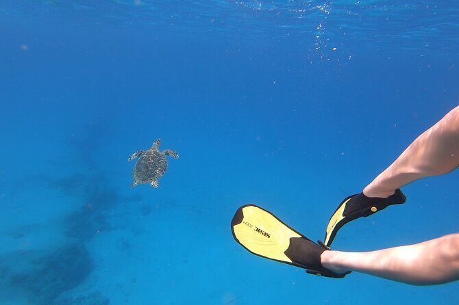 Snorkeling Gear Rental - Why Choose This Snorkeling Gear Rental?