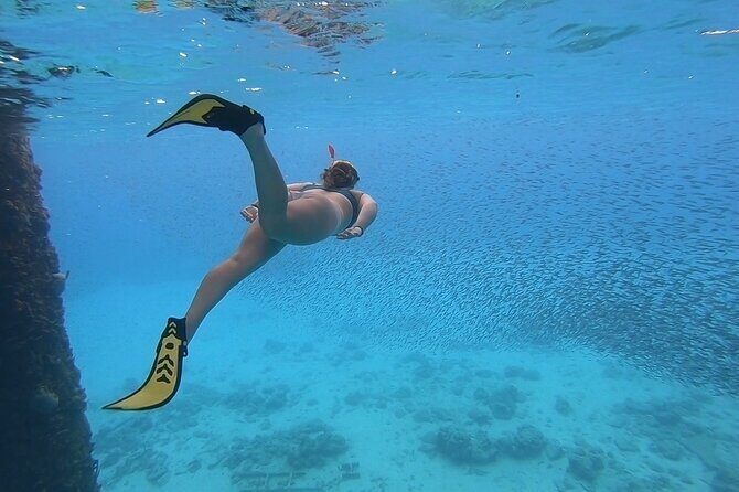 Snorkeling Gear Rental - Meeting Points and Logistics