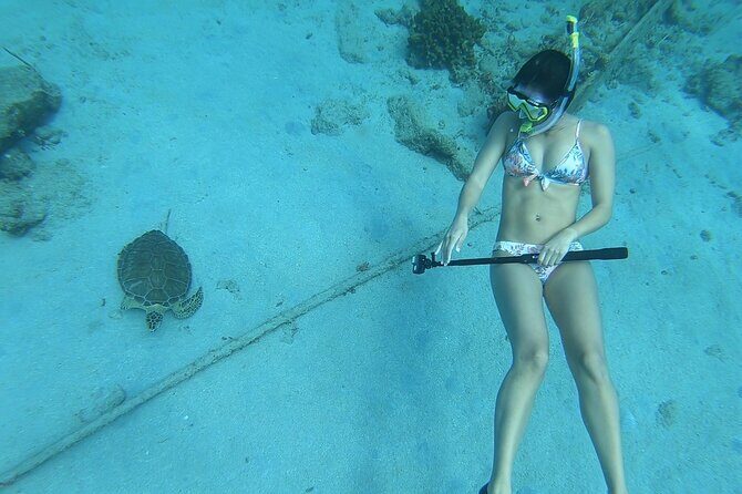 Snorkeling Gear Rental - Authentic Experiences & Real Traveler Feedback