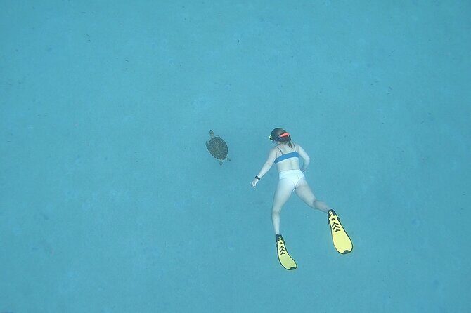 Snorkeling Gear Rental - The Sum Up