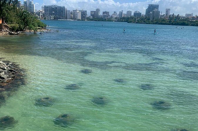 Snorkeling Guided Tour Experience in Condado Lagoon - Making the Most of Your Snorkeling Tour
