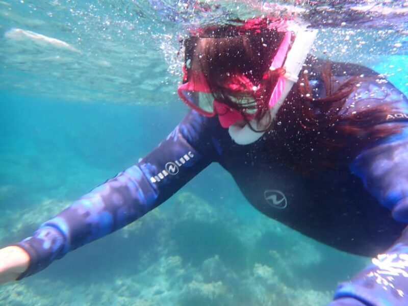 Snorkeling guided tours for tha all family! - Snorkeling Guided Tours for the Whole Family in Mallorca