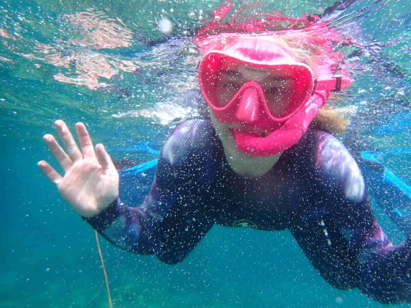 Snorkeling guided tours for tha all family! - The Real Value of This Snorkeling Tour