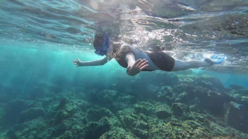 Snorkeling in a Volcanic Bay - What Makes This Snorkeling Tour Special?