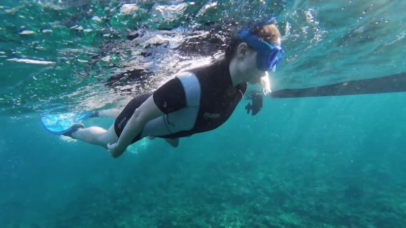 Snorkeling in a Volcanic Bay - Practical Tips for Your Snorkeling Adventure