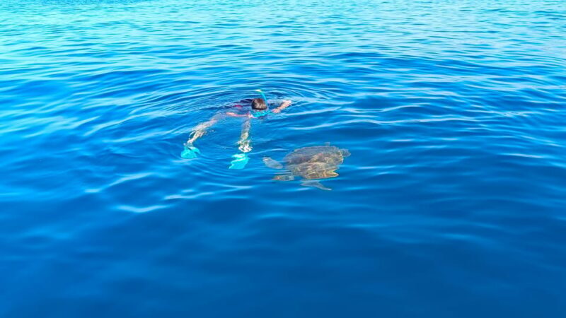 Snorkeling in a Volcanic Bay - Frequently Asked Questions